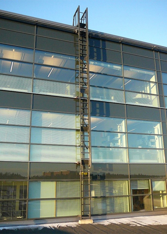 What are the different types of maintenance ladders?