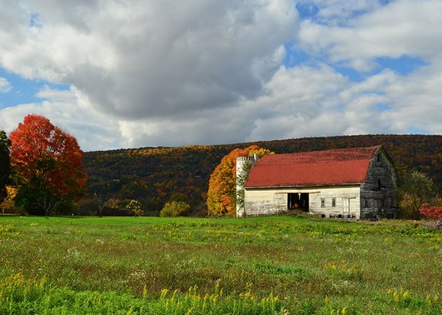 What makes a building beautiful? Part 2: Moral and Design