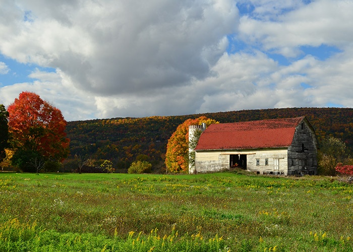 What makes a building beautiful? Part 2: Moral and Design