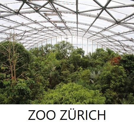 Rostek - Access systems from monorails to gantries