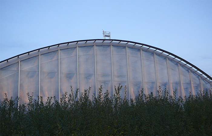 Zoo Zurich Reference