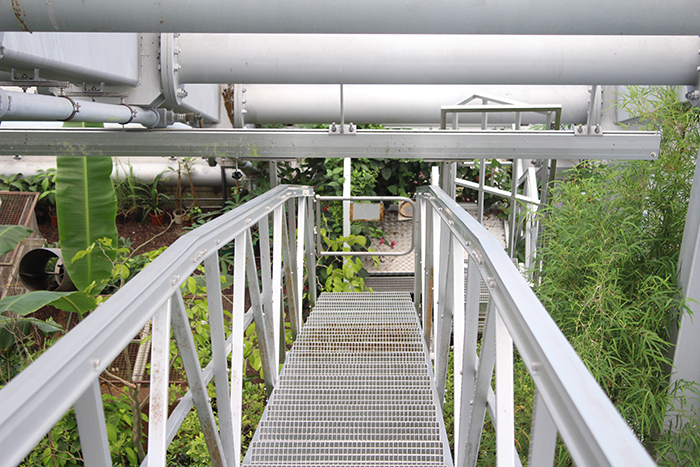 Zoo Zurich Reference