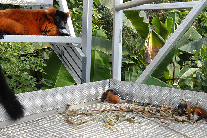 Zoo Zurich Reference